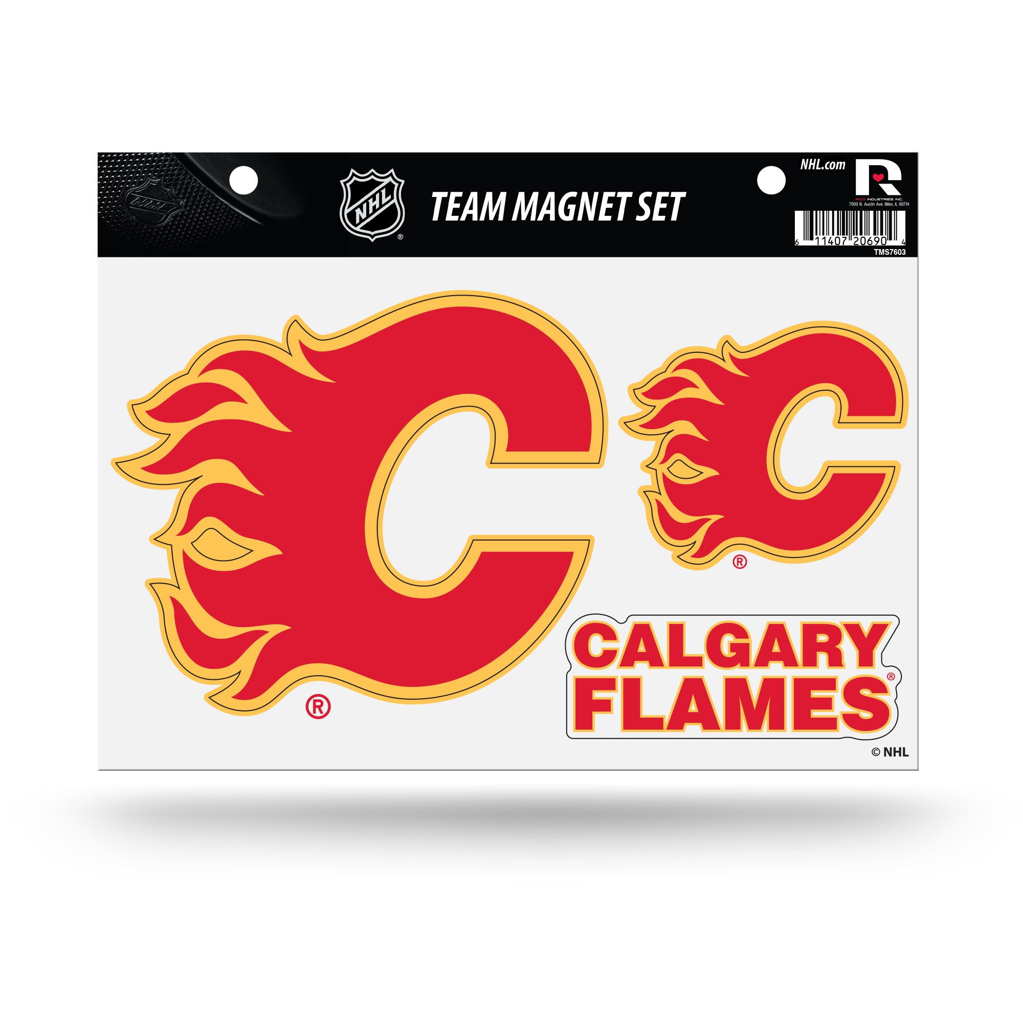 Calgary Flames Team Magnet Set